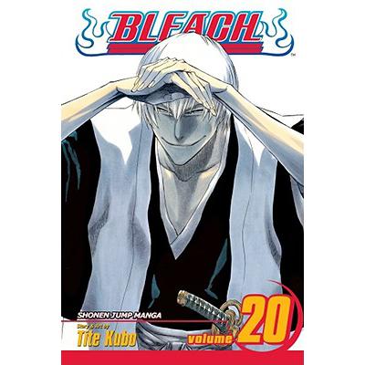 Bleach, Vol. 20: Volume 20
