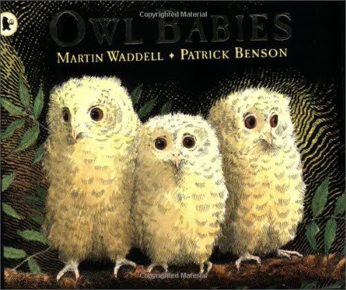 鹰宝宝] Owl Babies 进口原版英文绘本故事书