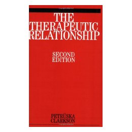 The Therapeutic Relationship 2E