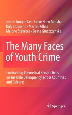 The Many Faces of Youth Crime: