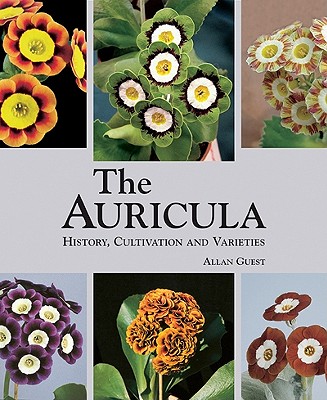 The Auricula: History, Cultivation and