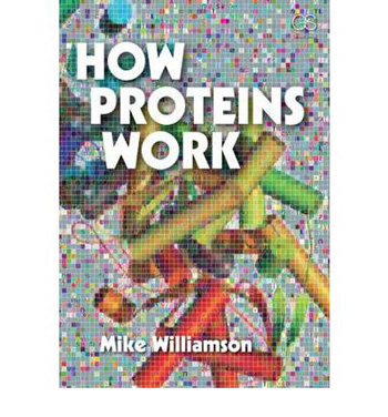 How Proteins Work