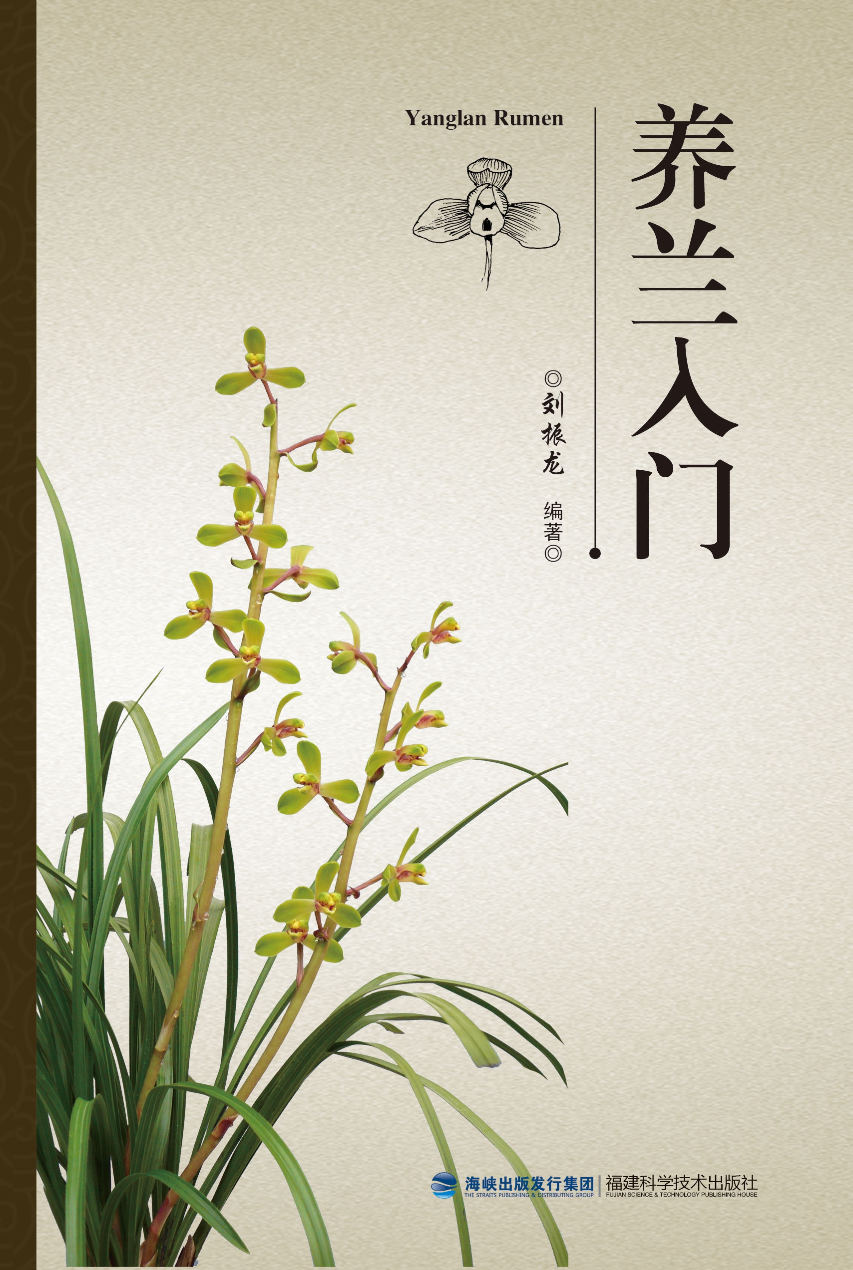 养兰入门