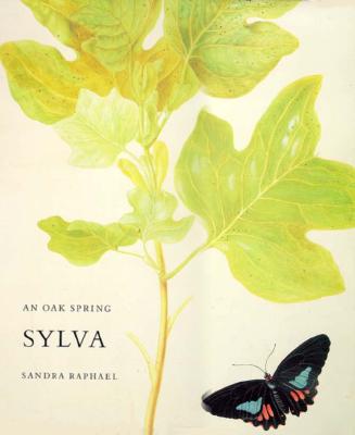The Garden Spring Foundation: Volume 1: