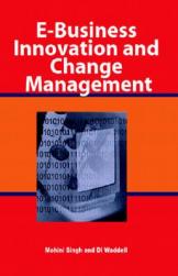 E-Business Innovation and Ch