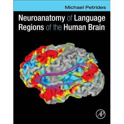 Neuroanatomy of Language Regions of the Huma...