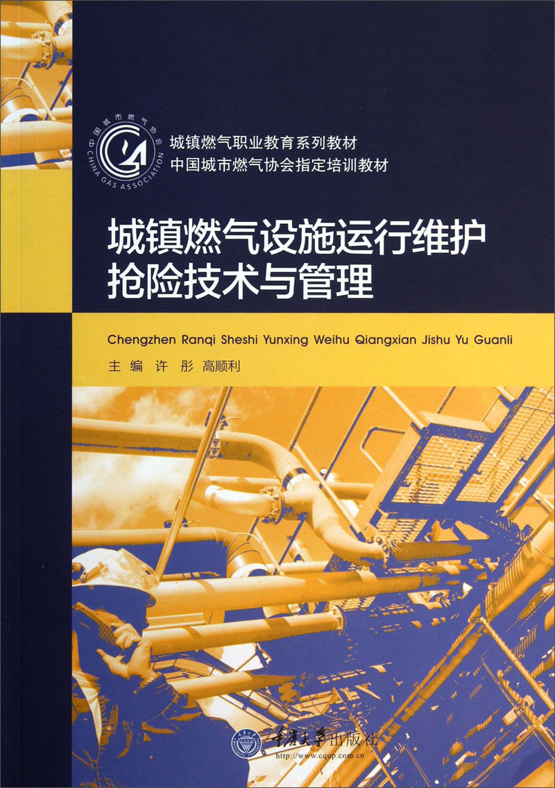 城镇燃气设施运行维护抢险技术与管理/城镇燃气职业教育系列教材·中国城市燃气协会指定培训教材