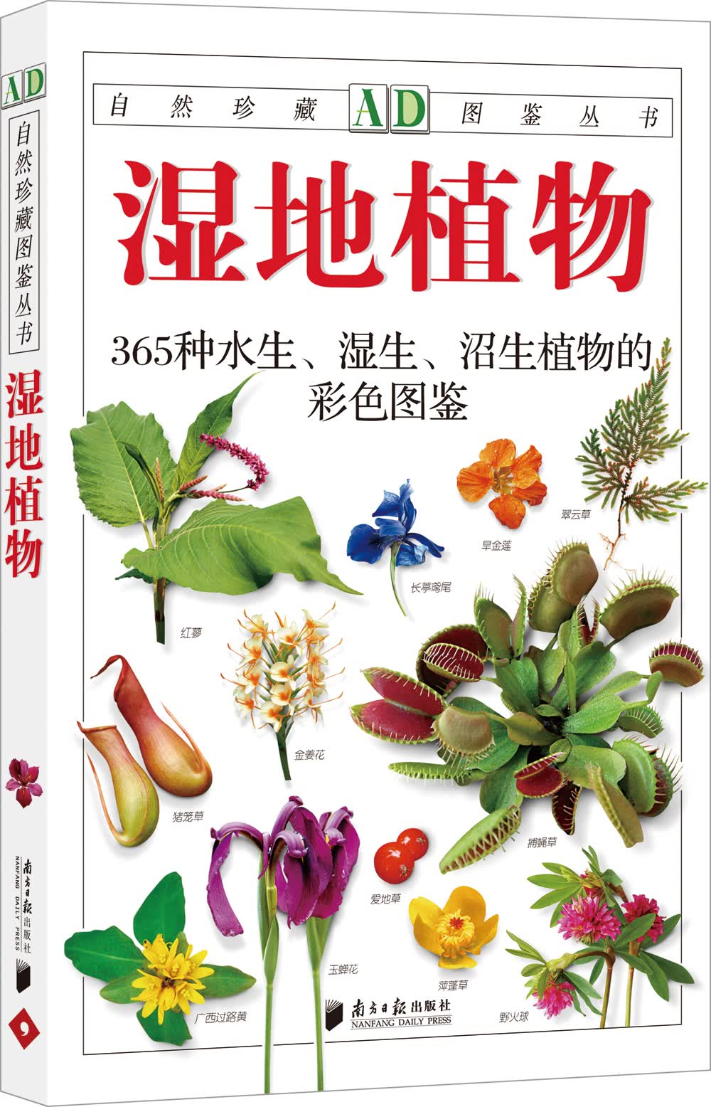 自然珍藏图鉴丛书：湿地植物