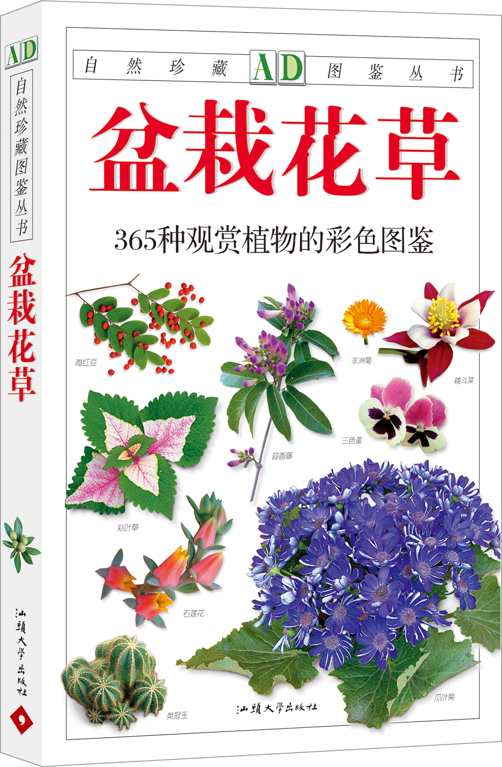 自然珍藏图鉴丛书：盆栽花草
