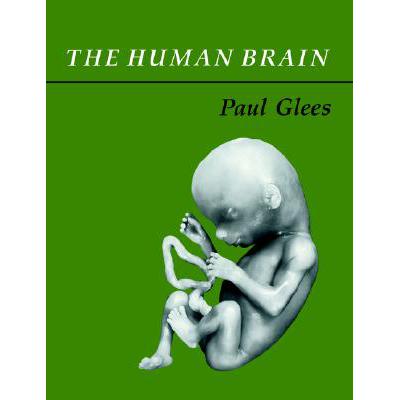 The Human Brain