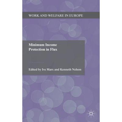 Minimum Income Protection in Flux