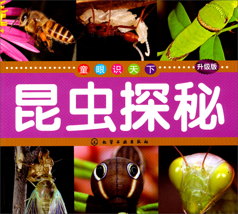 童眼识天下：昆虫探秘（升级版）