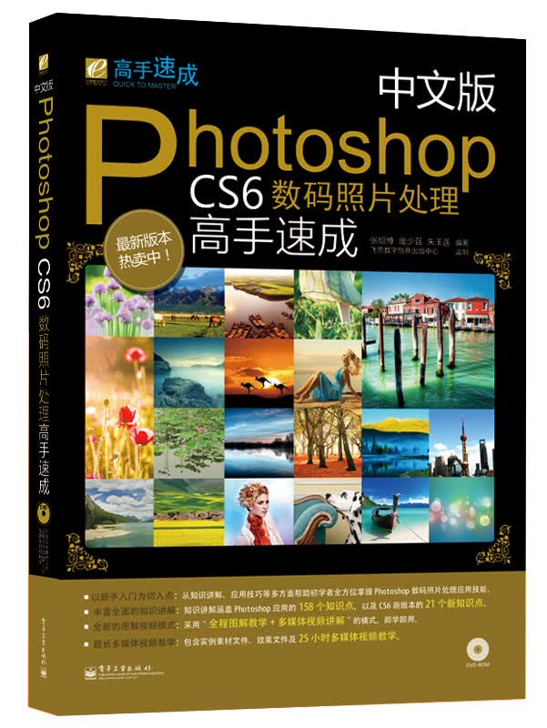 中文版Photoshop CS6数码照片处理高手速成（附DVD光盘）