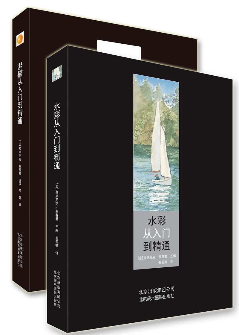 从入门到精通：水彩+素描（套装共2册）