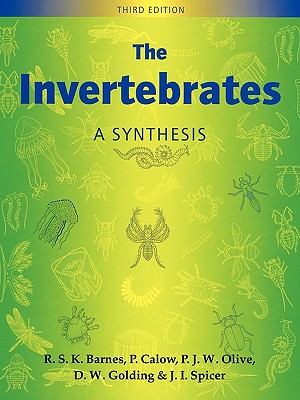 The Invertebrates - A Synthesis