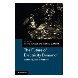 The Future of Electricity Demand: