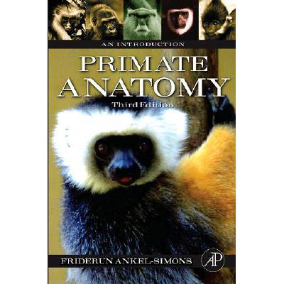 Primate Anatomy: An Introduction
