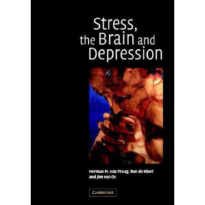 Stress, the Brain and Depression