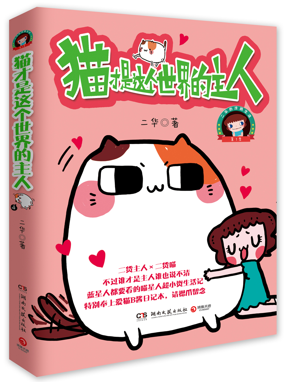 猫才是这个世界的主人