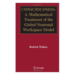 Consciousness: A Mathematical Treatment
