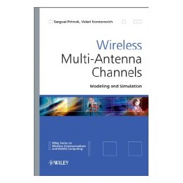 Wireless Multi-Antenna Channels -