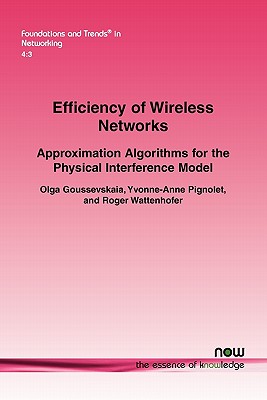 Efficiency of Wireless Networks:
