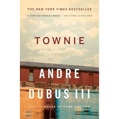 Townie: A Memoir