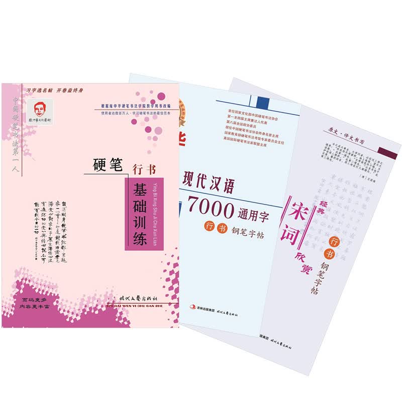庞中华硬笔：行书基础训练（套装全3册）