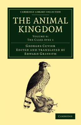 The Animal Kingdom: Arranged