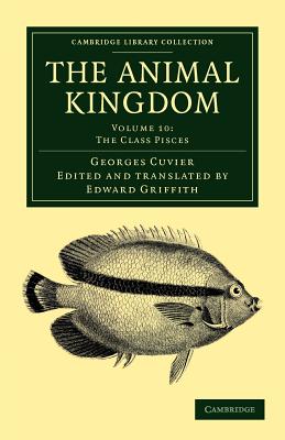 The Animal Kingdom: Arranged