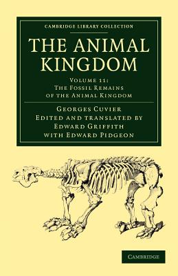 The Animal Kingdom: Arranged