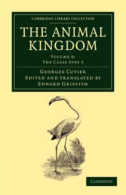 The Animal Kingdom: Arranged