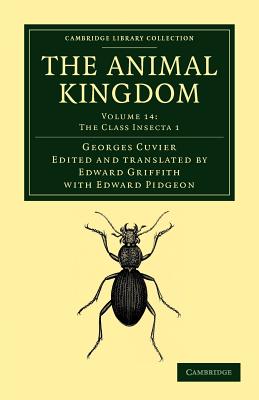 The Animal Kingdom: Arranged