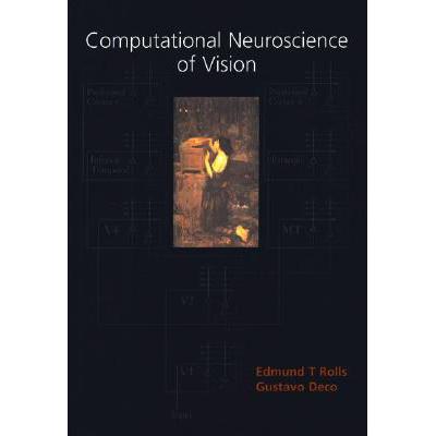 Computational Neuroscience of Vision
