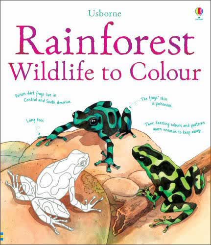 Rainforest Wildlife to Colour