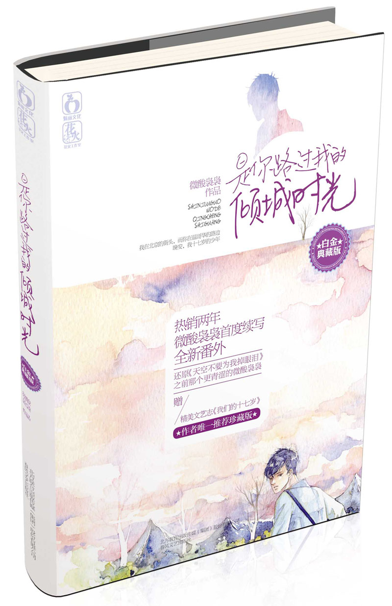 是你路过我的倾城时光