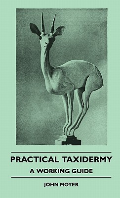 Practical Taxidermy - A Working