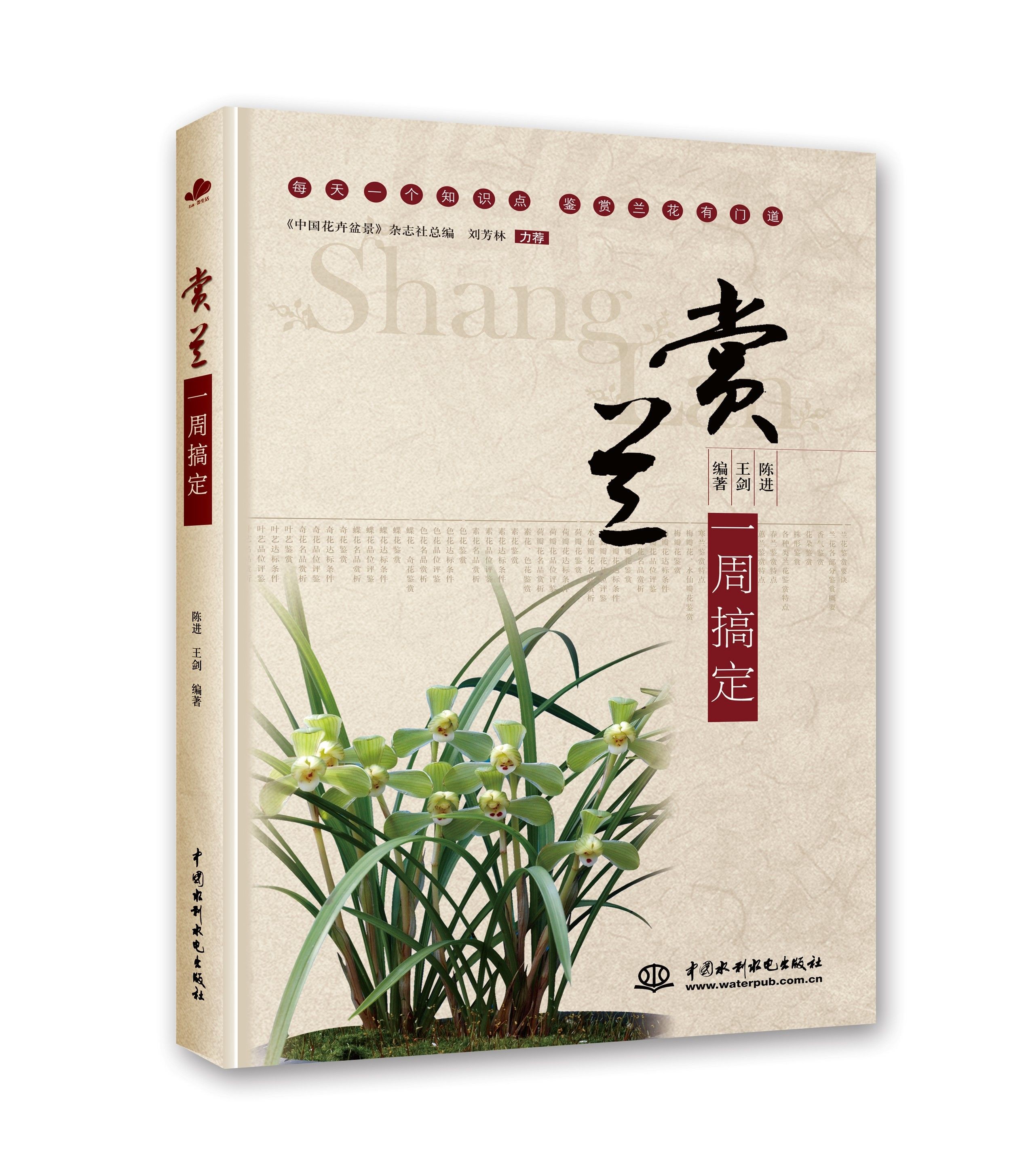 赏兰一周搞定
