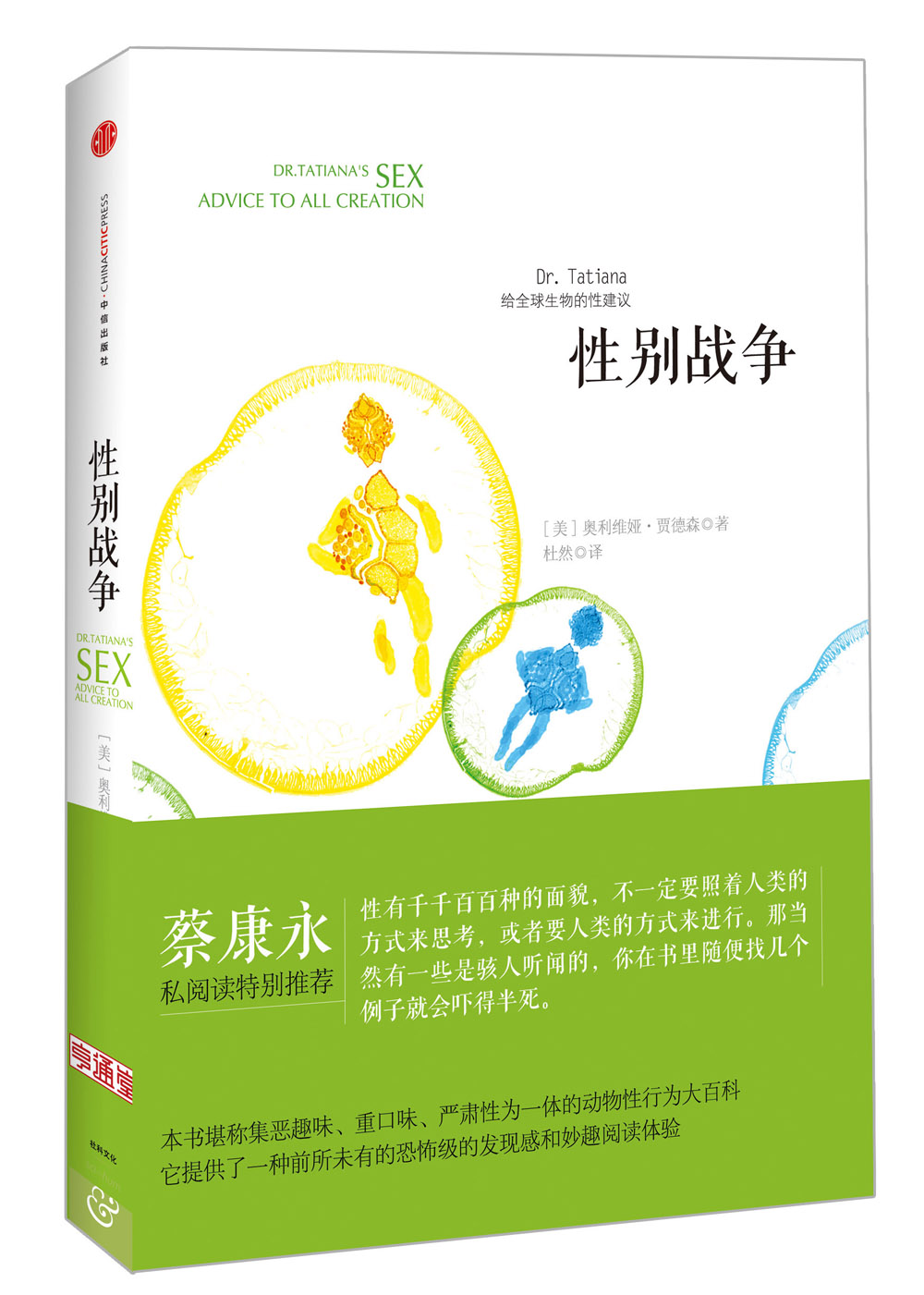 性别战争