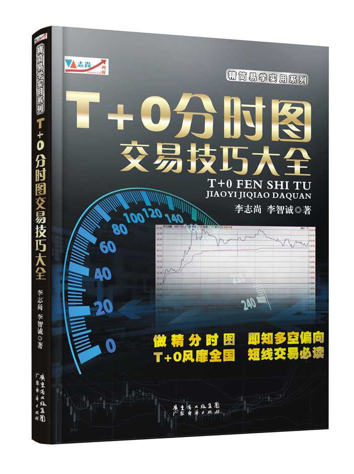 T+0分时图交易技巧大全