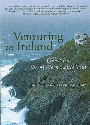 Venturing in Ireland: Quests for th
