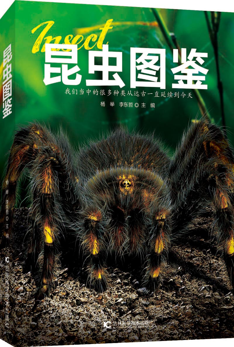 昆虫图鉴