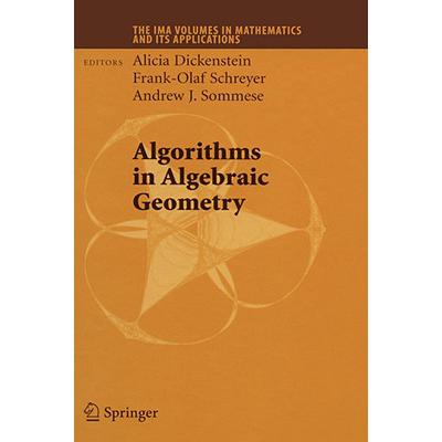Algorithms in Algebraic Geometry