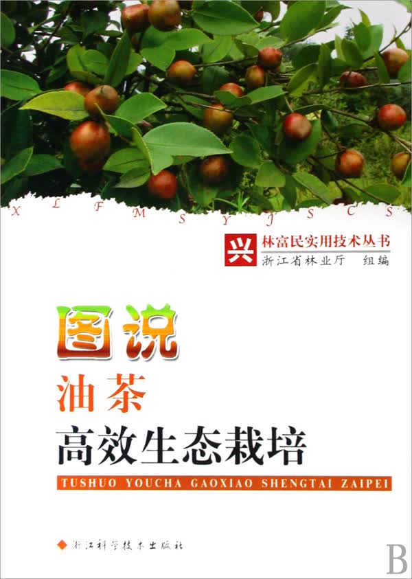图说油茶高效生态栽培/兴林富民实用技术丛书
