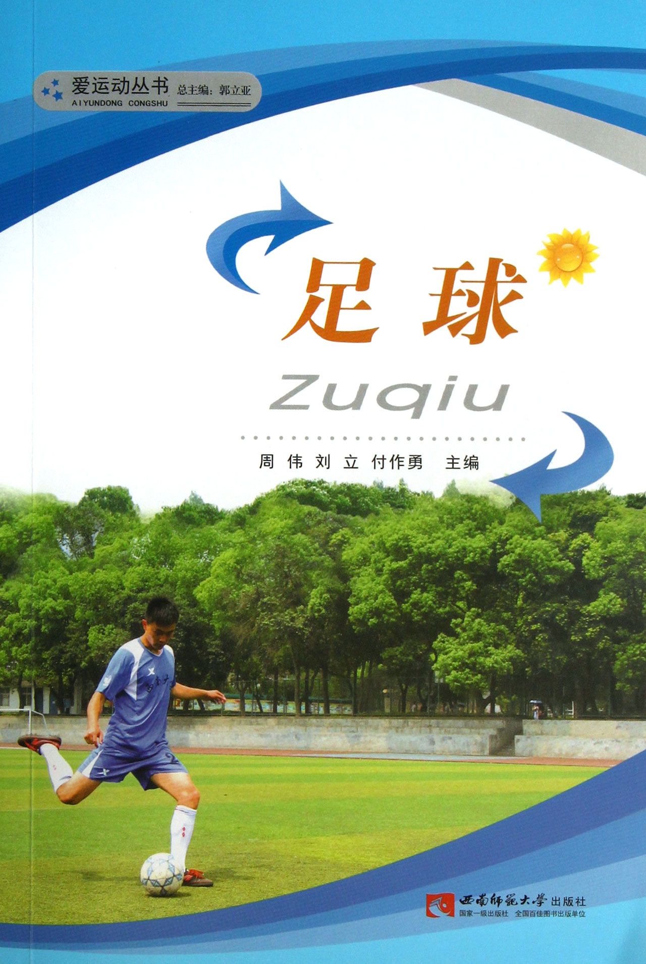 足球/爱运动丛书