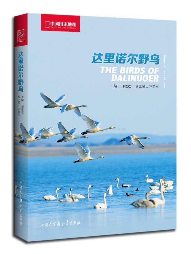 中国国家地理：达里诺尔野鸟