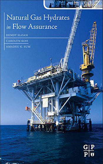 Natural Gas Hydrates in Flow Assurance