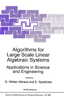 Algorithms for Large Scale Lin