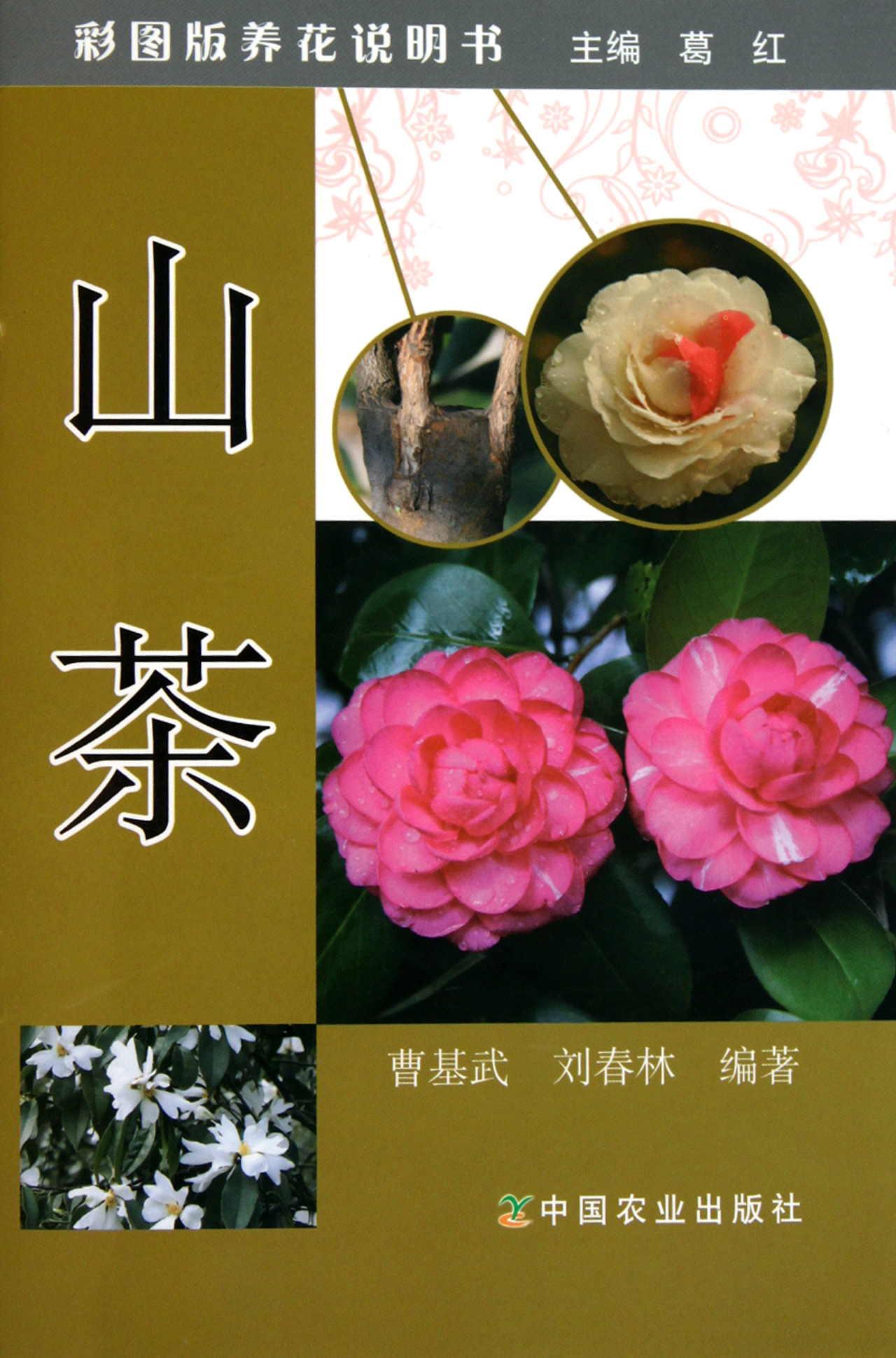 山茶/彩图版养花说明书