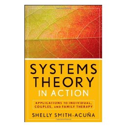 Systems Theory In Action: Applications